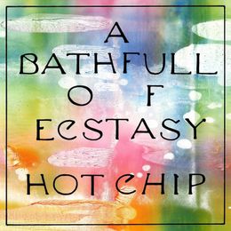 A Bath Full Of Ecstasy (Mini-Gatefold) - Hot Chip. (CD)