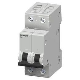 Siemens Circuit breaker 6ka 2pol c10 5sy6210-7