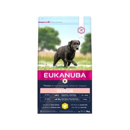 eukanuba Senior Large Breed 3 kg