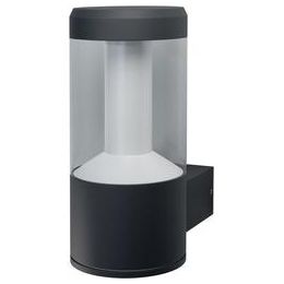 LEDVANCE Außenleuchte Endura Style Lantern Modern dunkelgrau