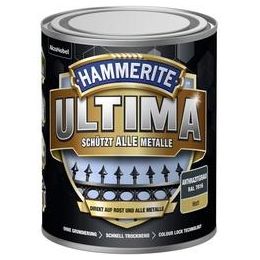 hammerite Metallschutzlack ULTIMA matt anthrazitgrau RAL 7016 750 ml