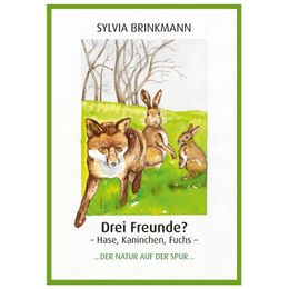 Drei Freunde? Hase, Kaninchen, Fuchs - Sylvia Brinkmann, Kartoniert (TB)