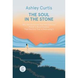 The Soul in the Stone - Ashley Curtis, Gebunden