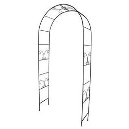 TrendLine Rosenbogen Rita 2,38 x 1,04 m