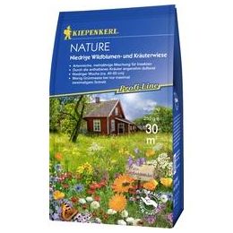 Kiepenkerl Profi-Line Nature Niedrige Wildblumen- und Kräuterwiese, 0,25 kg 30 m2