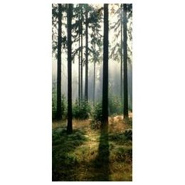 papermoon Vlies-Fototapete Wand & Türdekor Digitaldruck 90 x 200 cm Forest