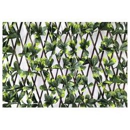 Garden Deluxe Living Dekozaun Bayberry 100 x 200 cm