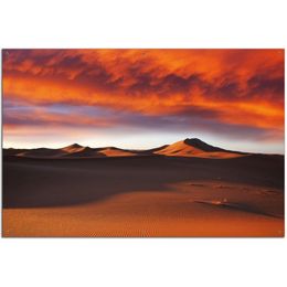 Wallario Sichtschutzzaunmatten Sahara Wüste II