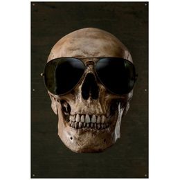 Wallario Sichtschutzzaunmatten Totenschädel mit cooler Sonnenbrille