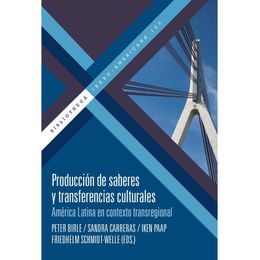 Producción de saberes y transferencias culturales : América Latina en contexto transregional, Kartoniert (TB)