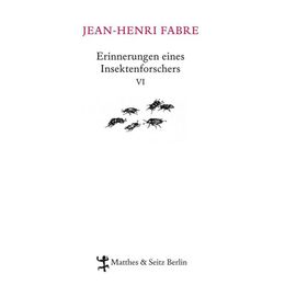 Erinnerungen eines Insektenforschers Bd.6 - Jean-Henri Fabre, Gebunden