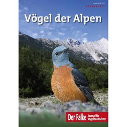 Vögel der Alpen - Falke-Sonderheft 2022, Geheftet