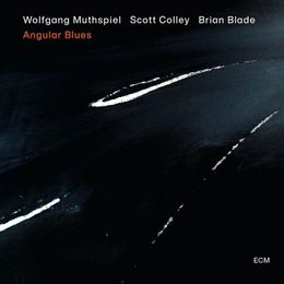 Angular Blues - Wolfgang Muthspiel, Scott Colley, Brian Blade. (CD)