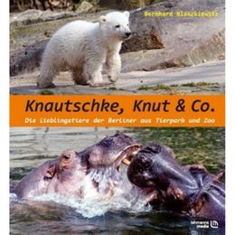 Knautschke, Knut & Co. - Bernhard Blaszkiewitz, Kartoniert (TB)