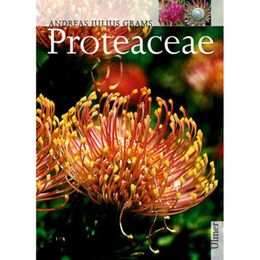 Proteaceae - Andreas J Grams, Gebunden