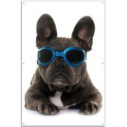 Wallario Sichtschutzzaunmatten Cooler Hund mit Sonnenbrille in blau