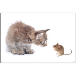 Wallario Sichtschutzzaunmatten Katze und Maus beim Spielen