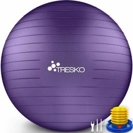 TRESKO - Gymnastikball (Lila 55cm) mit Pumpe Fitnessball Yogaball Sitzball Sportball Pilates Ball Sportball