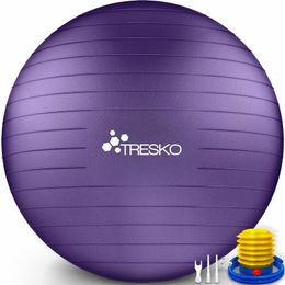 TRESKO - Gymnastikball (Lila 85cm) mit Pumpe Fitnessball Yogaball Sitzball Sportball Pilates Ball Sportball