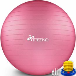 TRESKO - Gymnastikball (Rosa 75cm) mit Pumpe Fitnessball Yogaball Sitzball Sportball Pilates Ball Sportball