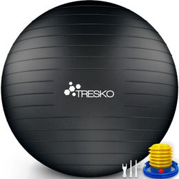 TRESKO - Gymnastikball (Schwarz 55cm) mit Pumpe Fitnessball Yogaball Sitzball Sportball Pilates Ball Sportball