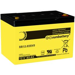 SB12-65SV0 agm Akku 12V 65Ah Blei-Akku mit vds - Sun Battery