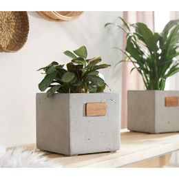 Dekoleidenschaft - bertopf Cube aus Beton, grau, Pflanztopf, Blumentopf für Zimmerpflanzen, Pflanzgefäß, Blumenkübel