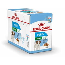 Royal Canin - Puppy Mini - Rindfleisch in Sauce - 12 Umschlge x 85 g
