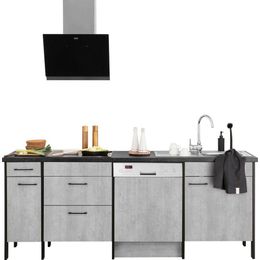 Optifit Küchenzeile Tokio, ohne E-Geräte, Breite 224 cm, mit Stahlgestell, mit Vollauszügen, grau
