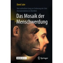 Springer Das Mosaik der Menschwerdung, m. 1 Buch, m. 1 E-Book - Dierk Suhr, Kartoniert (TB)
