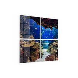 DEQORI Glasbild 'Exotisches Aquarium'
