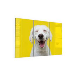 DEQORI Glasbild 'Lachender Hund'