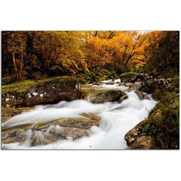 Wallario Sichtschutzzaunmatten Fließender Bach im Herbstwald