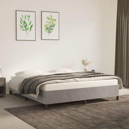 MAISONCHIC - Bettgestell Doppelbett Bett für Schlafzimmer Hellgrau 160x200 cm Samt DE89026 - Grau
