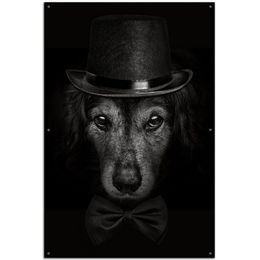 Wallario Sichtschutzzaunmatten Eleganter Hund mit Zylinder in schwarz-weiß