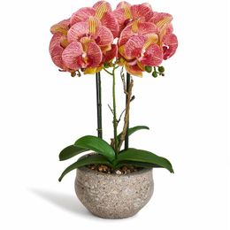 Künstliche Orange Orchidee Phalaenopsis 42 cm - Rosa