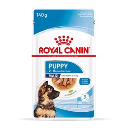 Royal Canin MAXI PUPPY Welpenfutter nass für große Hunde 10x140g