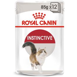 Royal Canin INSTINCTIVE Katzenfutter nass in Gelee 48x85g