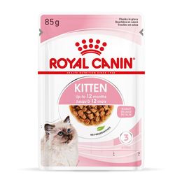 Royal Canin KITTEN Nassfutter in Soße für Kätzchen 48x85g