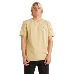 Quiksilver T-Shirt »Protect Our Playground« Taos Taupe M M Material: BaumwollStoff [160 g/m2]