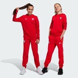 Adidas FC Bayern München Kids Hose