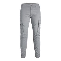 Jack & Jones Jack & Jones Cargo Pants 'Paul Flake' male Grey size 30