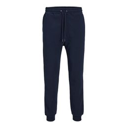 Jack & Jones Jack & Jones Pants 'JPSTGordon JJBradley' male Blue size XL
