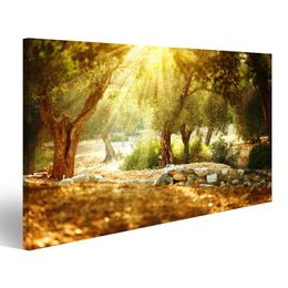 islandburner Leinwandbild Bild auf Leinwand Olivenbäume Garten Mittelmeer Olivenhain Mit Alten O
