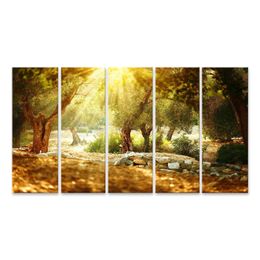 islandburner Leinwandbild Bild auf Leinwand Olivenbäume Garten Mittelmeer Olivenhain Mit Alten O