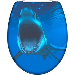 Schütte Wc Sitz shark, Duroplast Toilettendeckel mit Absenkautomatik und Schnellverschluss, Klobrille, Klodeckel, Toilettensitz - Motiv