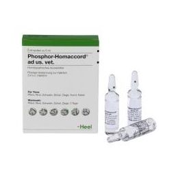 Heel Phosphor Homaccord ad us.vet.Ampullen 5 St