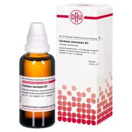 DHU-Arzneimittel Carduus Marianus D 1 Dilution 50 ml