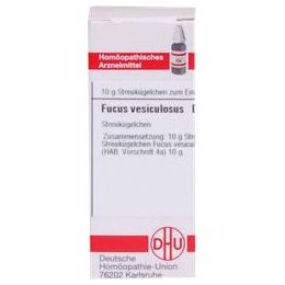 DHU-Arzneimittel Fucus Vesiculosus D 4 Globuli 10 g