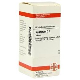 DHU-Arzneimittel Fagopyrum D 6 Tabletten 80 St